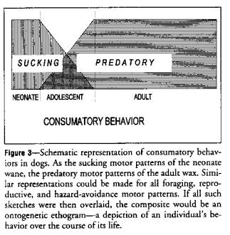 Biologic Bases of Behavior of Domestic Dog Breeds